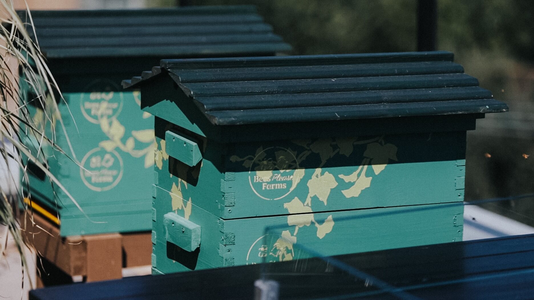 Hive Rental – Bees Please