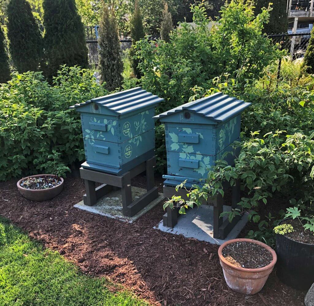 Hive Rental – Bees Please