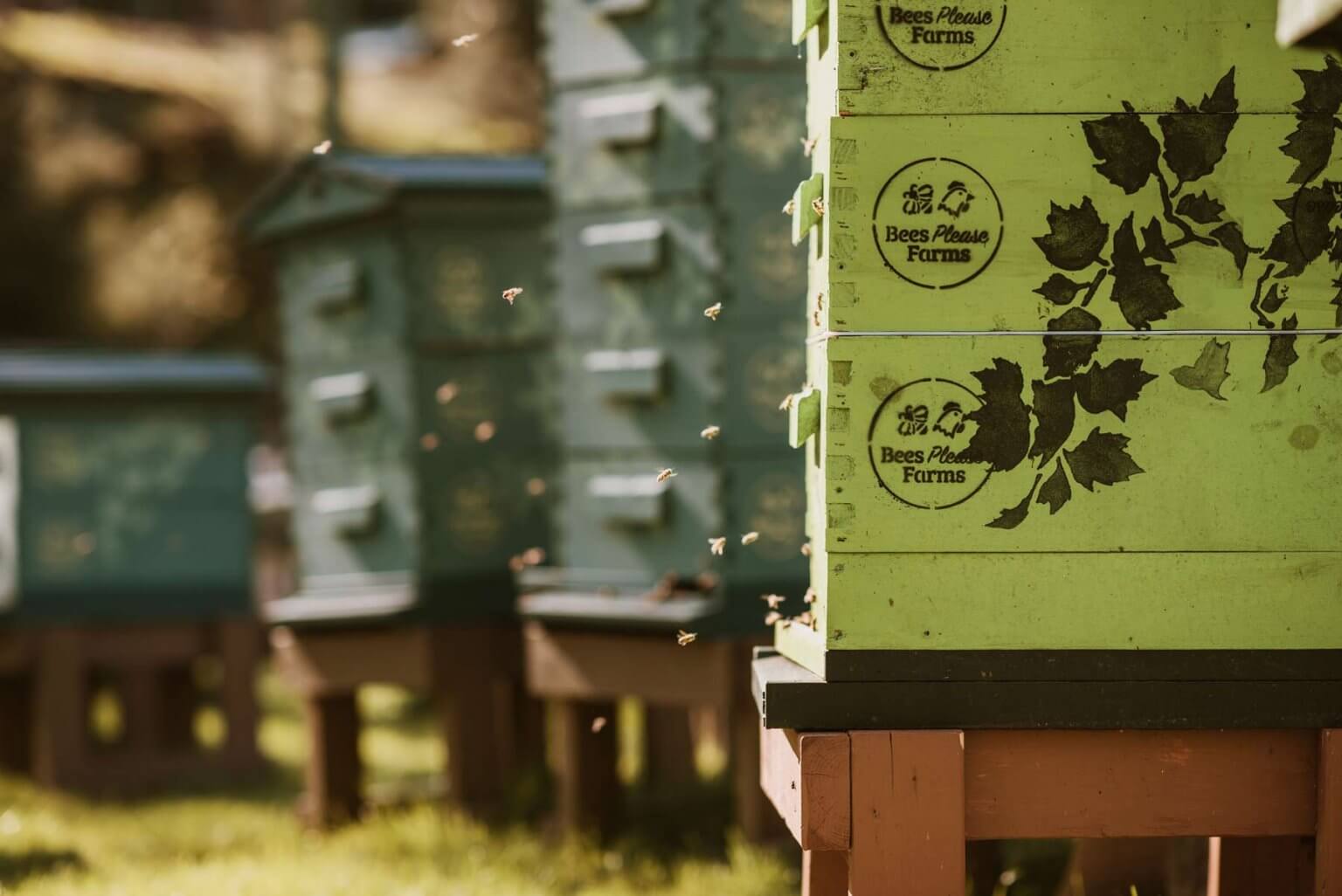 Hive Rental – Bees Please