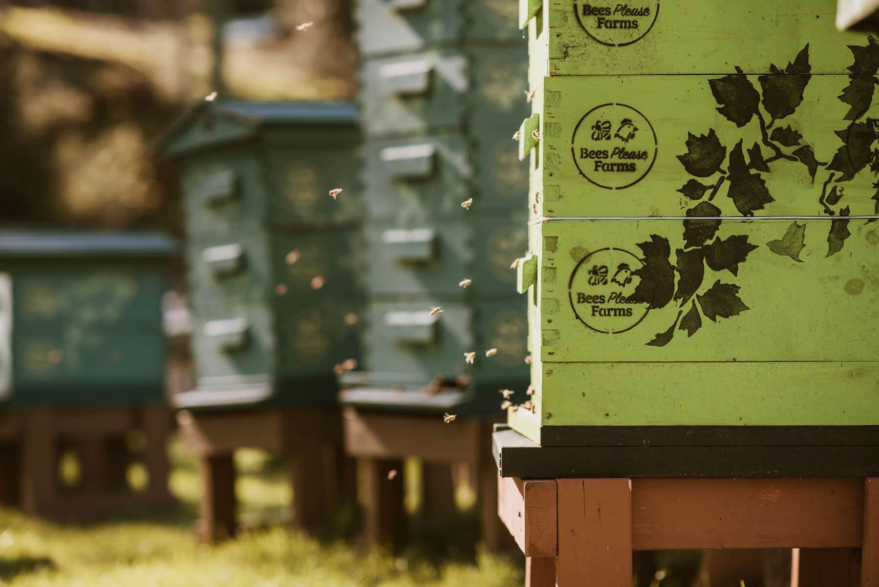 Hive Rental – Bees Please