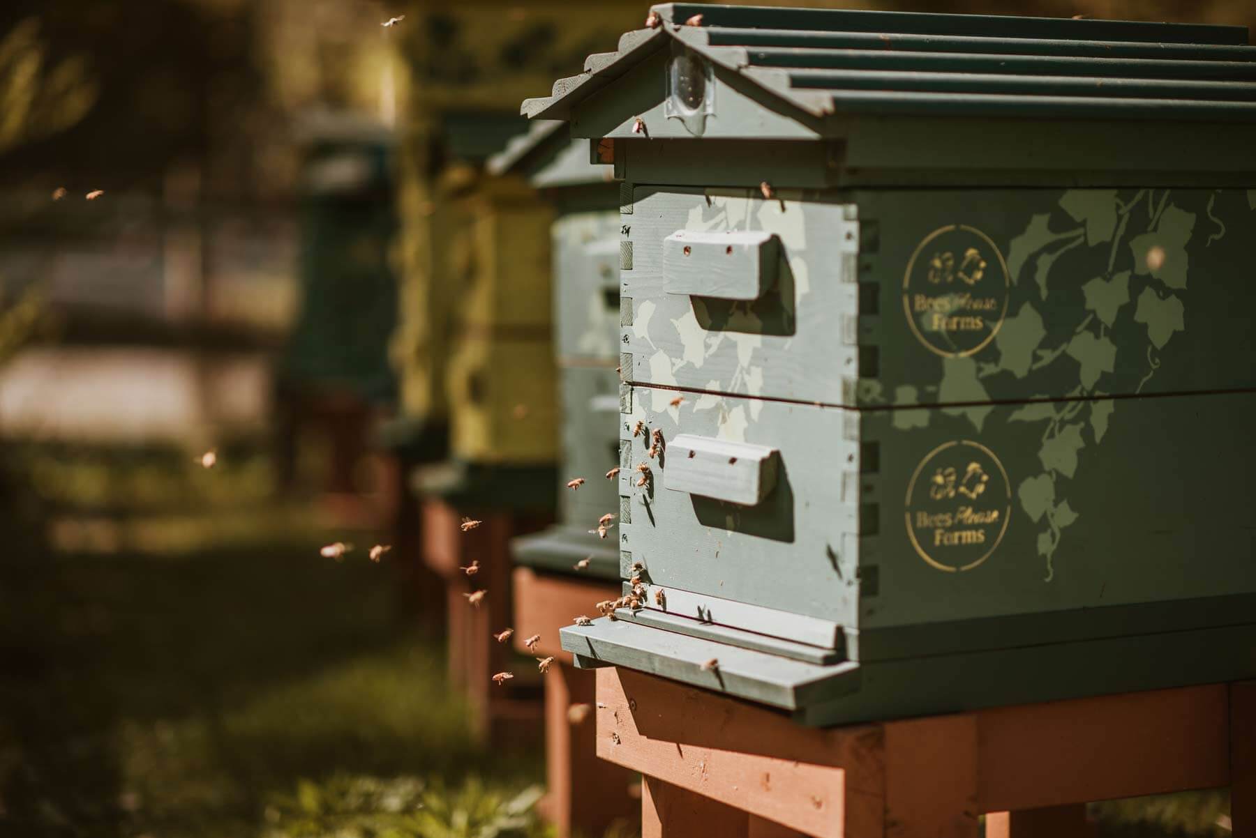 Hive Rental – Bees Please